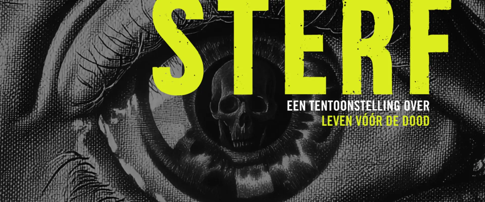 Rondleiding bij 'STERF! Een tentoonstelling over leven vóór de dood ...